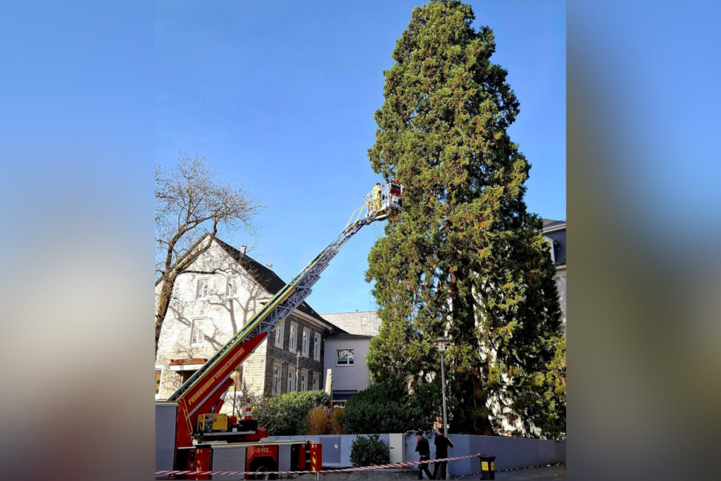 Es werde Licht - Forum Wermelskirchen